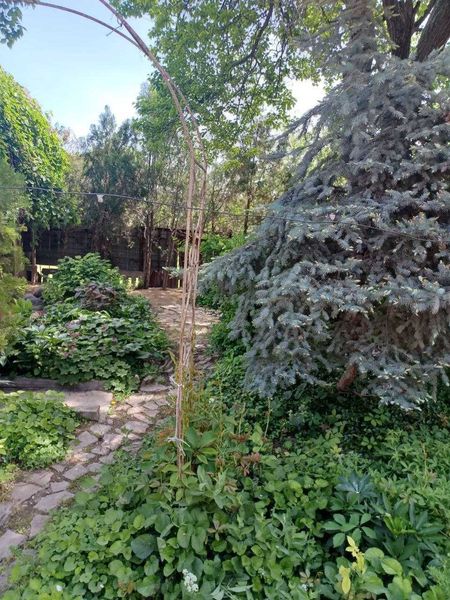 Продается дача 9 соток 5 комнат   ТАШМОРЕ