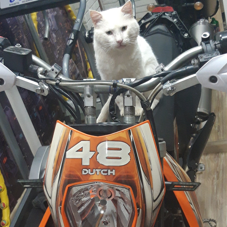 Продается KTM 690