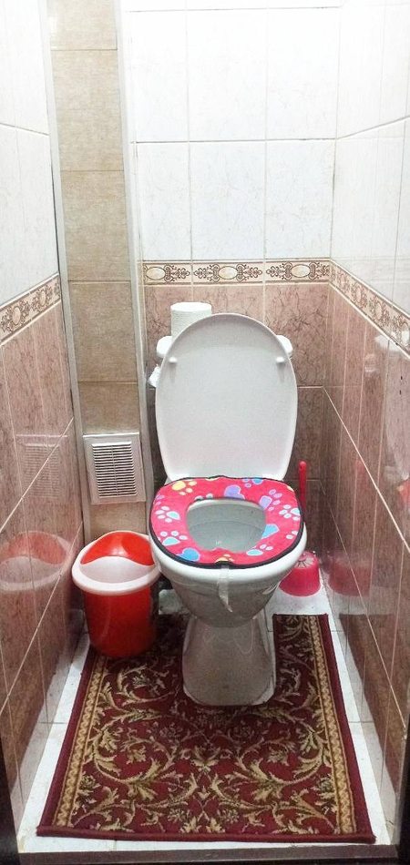 Novza kvartıra arenda.450$