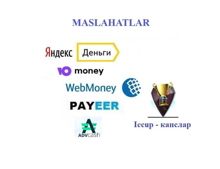 Professional maslahatlar Werbmoney, консультация по Вебмани