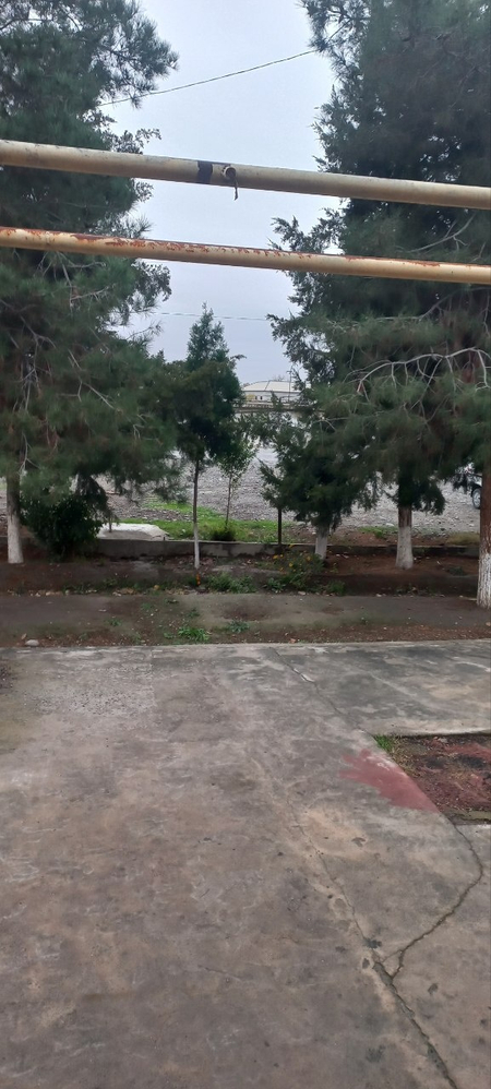 3 sofik yaqin joy yashasa boladi Noturar