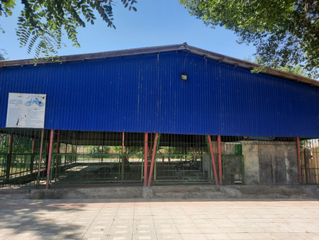 Moshinchala Avtodrom Parkni ichida