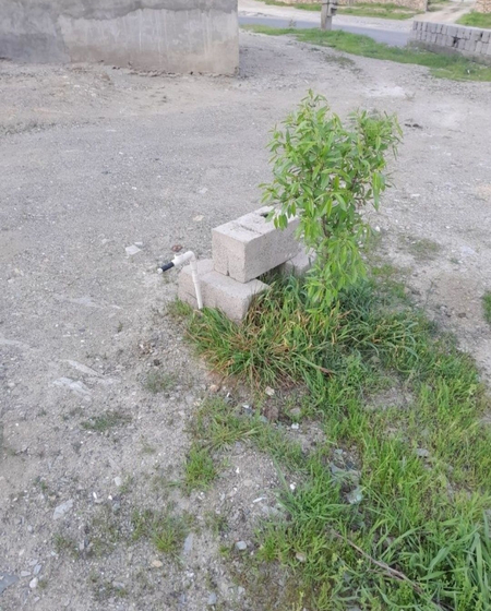 Уй сотилади 3 сутиз горта жойлашган