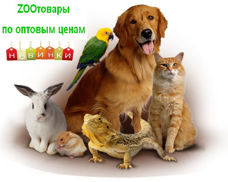 Передержка животных