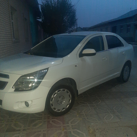 Kobilt 2013 xolati allo