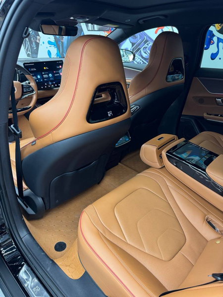 BYD xan 2 dual mator