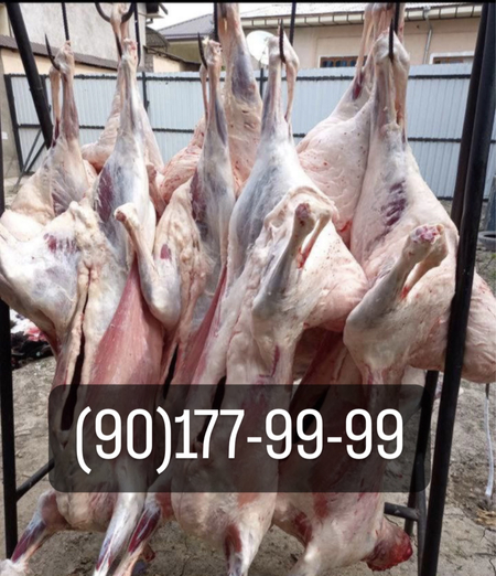 Қўзи қўчқорлар, қассоб, калла поча