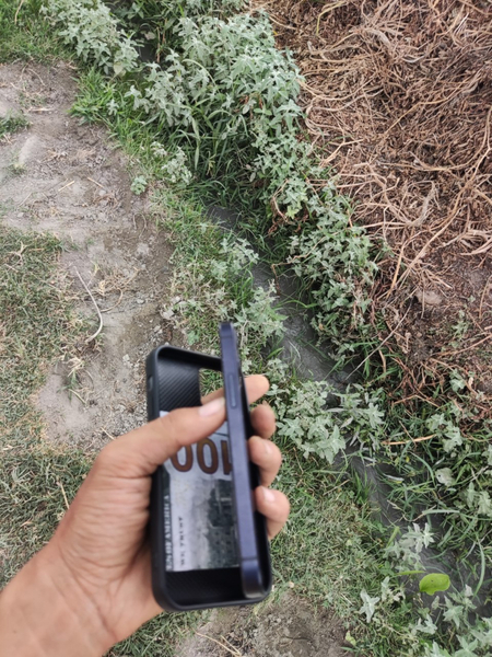 Iphone 12 mini holati rasmda