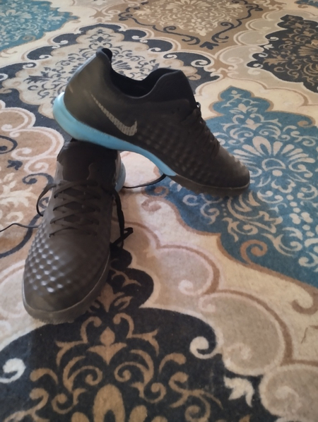 Magista sorokonoshka