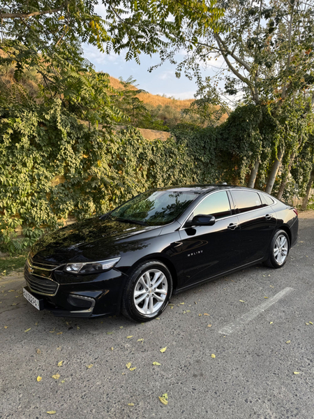 Malibu 2 2018 Top Tozza!