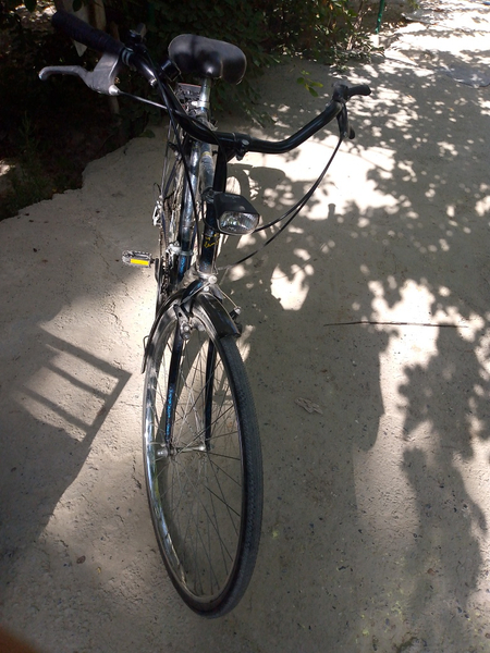 Sport velik assk