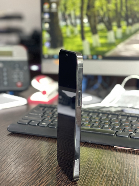 IPhone 12 Pro Max, 256 Gb, Grafit