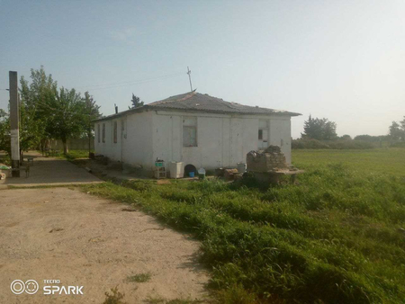 Дала шийпон сотилади