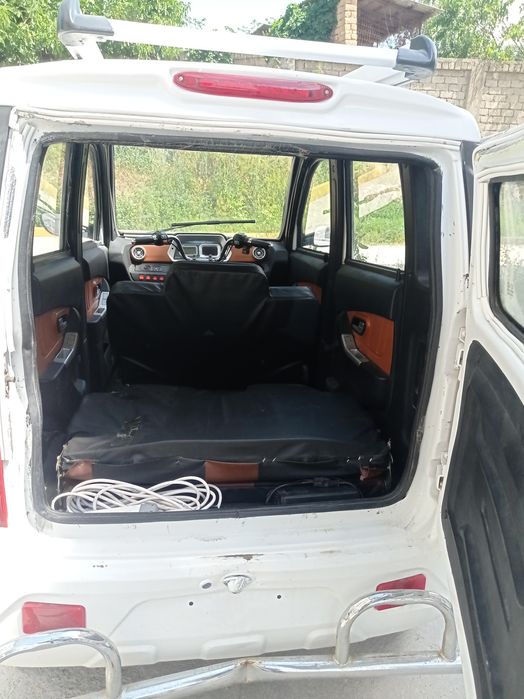 Cavalo Cadezi 24