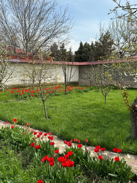 Свой коттедж , площадь земельного участка 12 соток