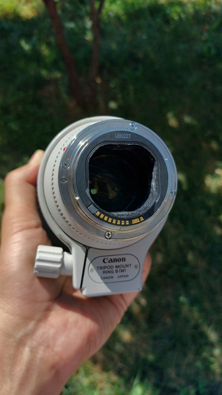 Canon ef 70-200mm f/2.8L usm