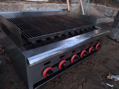 Turkiya izgara fas food