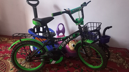 Velosiped va moshina
