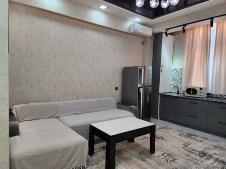 АРЕНДА 2 в 3 комнатная Квартира ЖК Parkent Avenue
