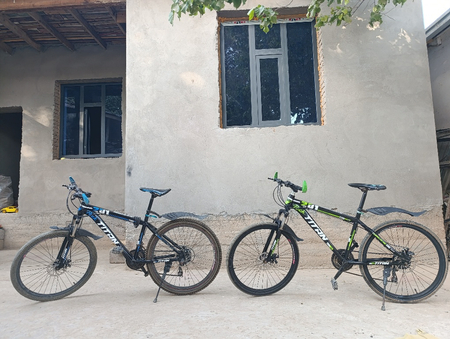 Velosiped TITAN 201
