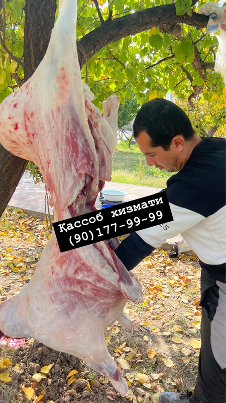Halal Servis‼️Halol go’sht, qassob xizmati, kalla pocha