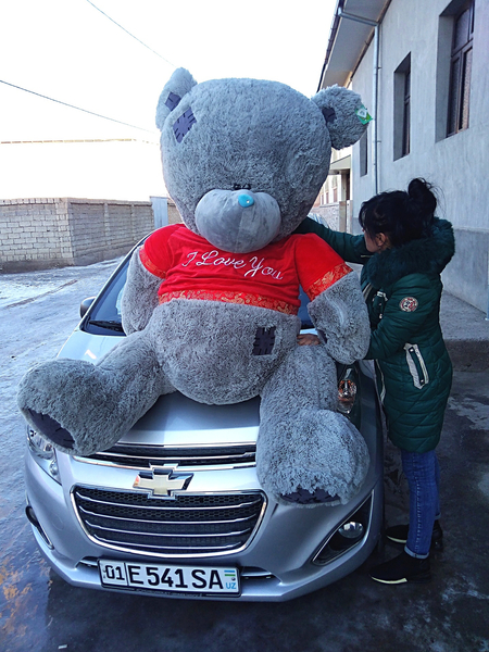 Тедди Teddy Teddi Teddiy Orginal Optom 1+1