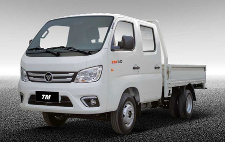 FOTON truckmate 2 D1