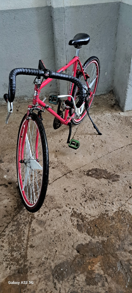 Veloseped gonchik
