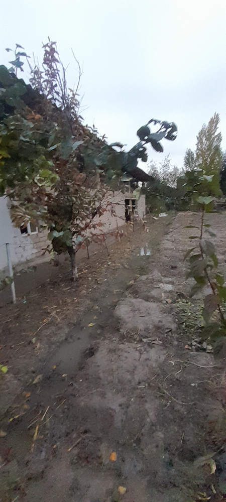 Ташкент шахарда 6 соток 4 хона коробка холатда 1 соток 15 000$ доллар