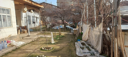 Orinboy Choyxonasi atrofida 6.5 sotix Uglavoy yer hisobida