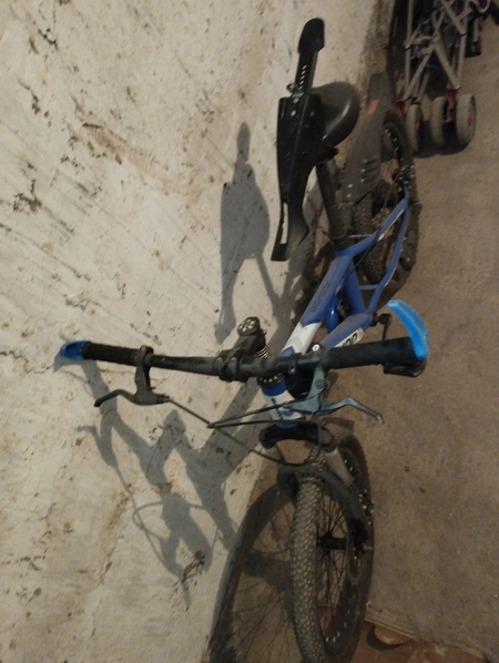 Velosiped  bolarga
