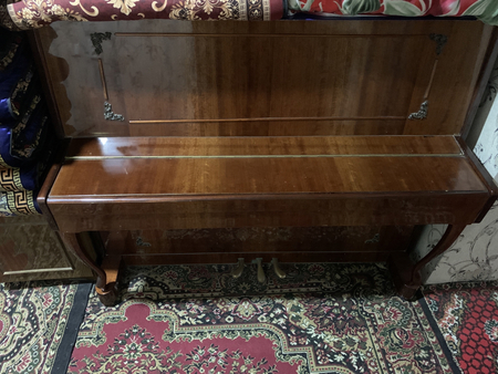 Forte piano zarya 2 sotiladii