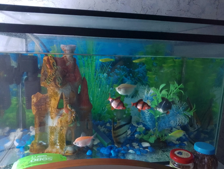 Akvarum 30 litr kamplekt