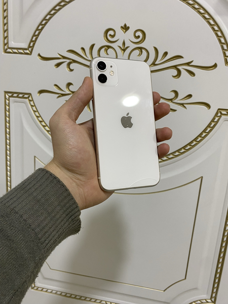 Iphone 11 ideal rodnoy