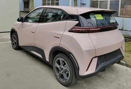 Byd seagul elektro arenda s vikupom