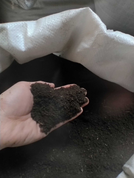 Biogomus sotiladi Kaliforniya qizil chuvalchangidan olingan