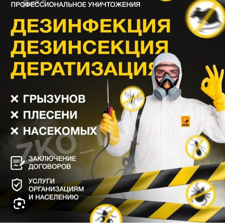 Dizenfeksiya / Dezinfeksiya