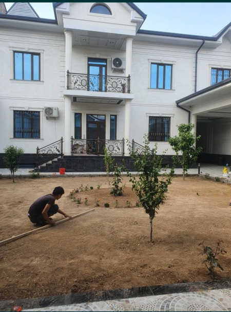 Gazon ekamiz tayyori yoki o‘rug‘dan ekib beramiz