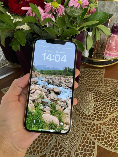iPhone 12pro max gold