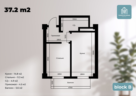 Туркистан Авеню бошлангич толов 5,950$ билам хонадон