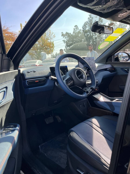 Byd seagull  405 km