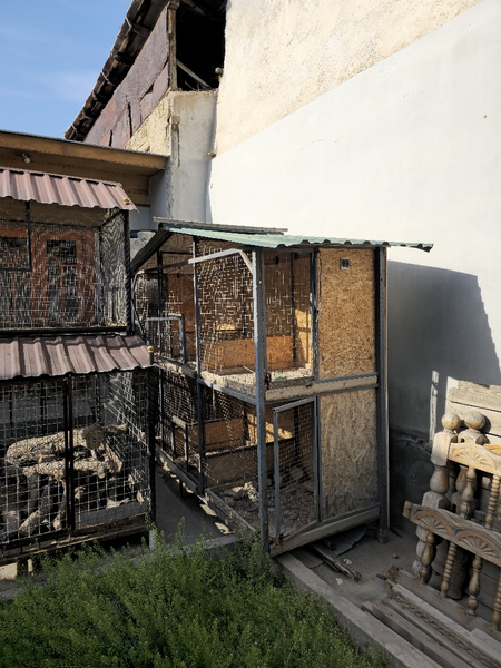 Tovuq, Qush qafas mataldan 
90x90 dan 6 ta katagi bo
