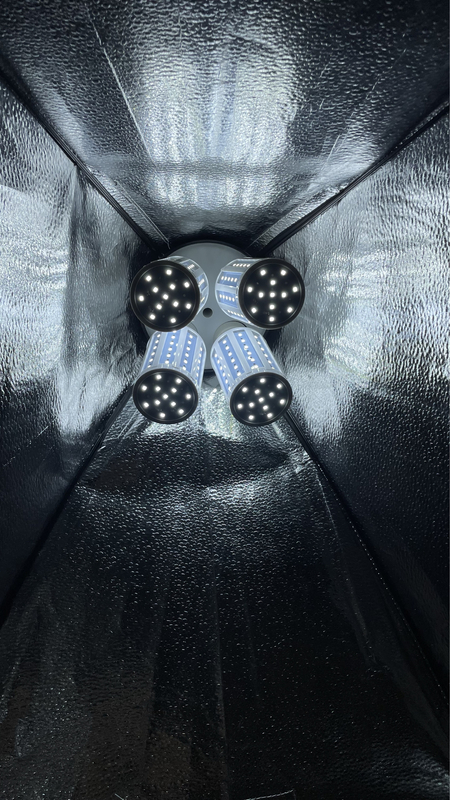 Softbox, софтбокс