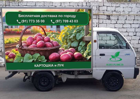 Картошка и лук Оптом