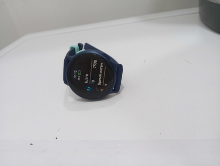Умные часы Garmin vivoactive 5