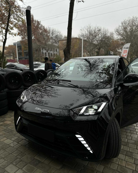 BYD Seagull arzon va kafolatli