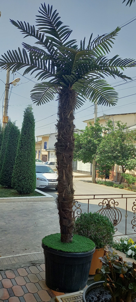Палма искуствиная
