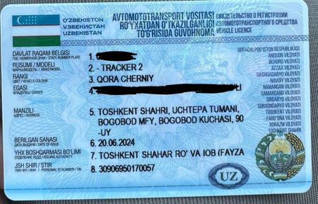 Treker2 черный, 2022 своя, Китай.