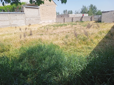 Danlager Samarqand Yer uchastkasi sotiladi