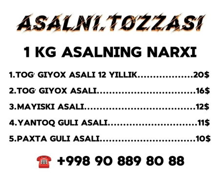 Asalni tozzasi togʻ giyox asali 12 yillik
